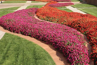 Landscape Design / Build, Colorscape, Maintenance - Createxteriors